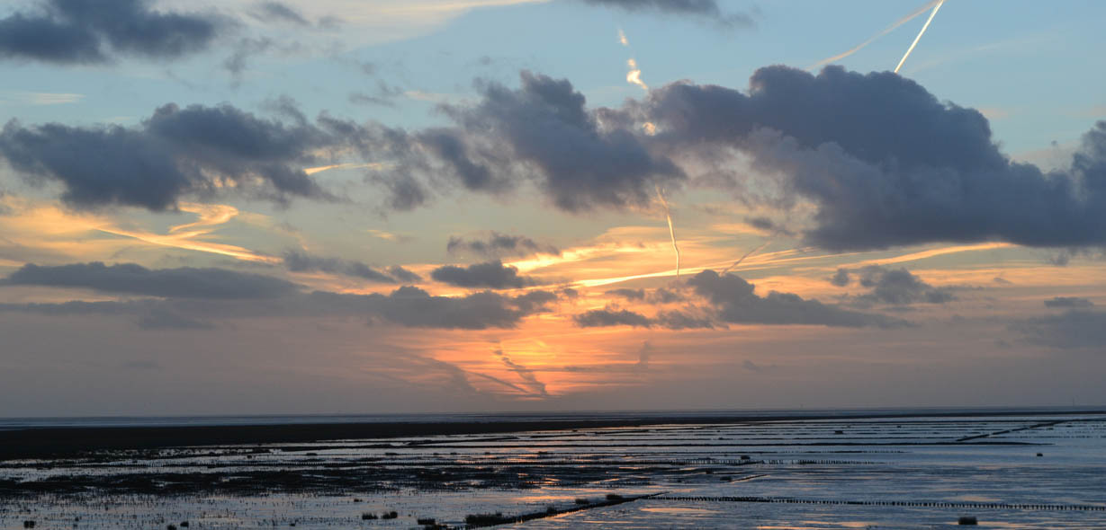 Ferienwohnung in Friedrichskoog-Spitze - Willkommen / Menü öffnen